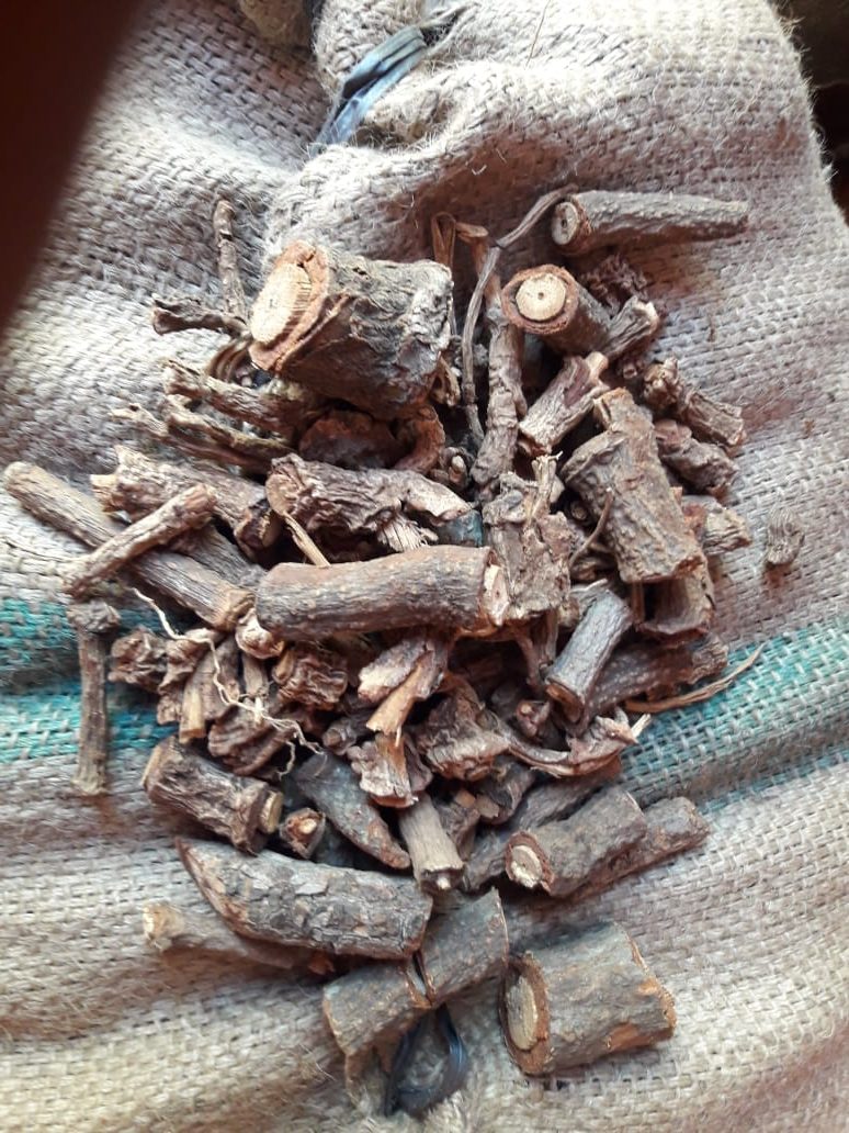 Magali Kilangu/மாகாளிக்கிழங்கு/जीवन्ति/Swallow Root Rs.600/kg – VGS HERBALS
