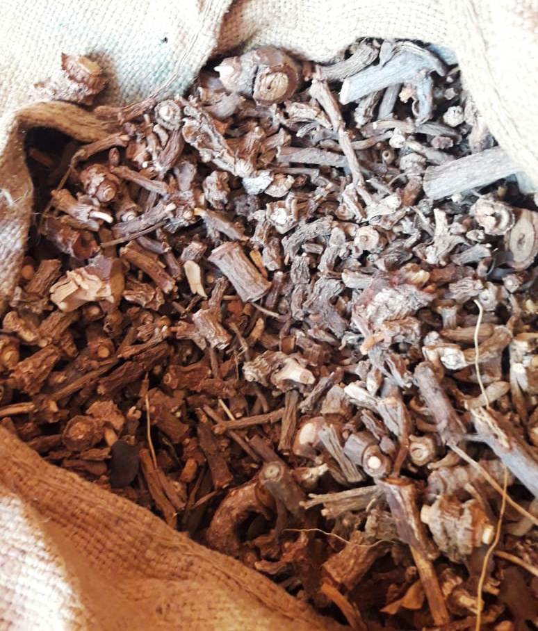 Magali Kilangu/மாகாளிக்கிழங்கு/जीवन्ति/Swallow Root Rs.600/kg – VGS HERBALS