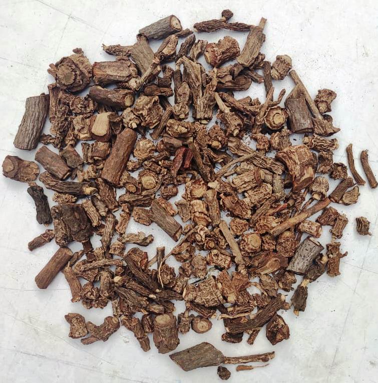 Magali Kilangu/மாகாளிக்கிழங்கு/जीवन्ति/Swallow Root Rs.600/kg – VGS HERBALS