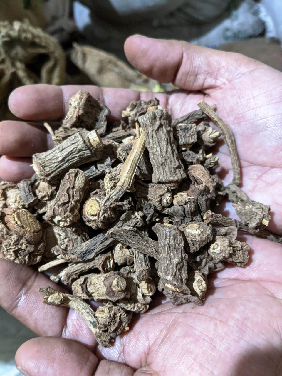 Magali Kilangu/மாகாளிக்கிழங்கு/जीवन्ति/Swallow Root Rs.600/kg – VGS HERBALS