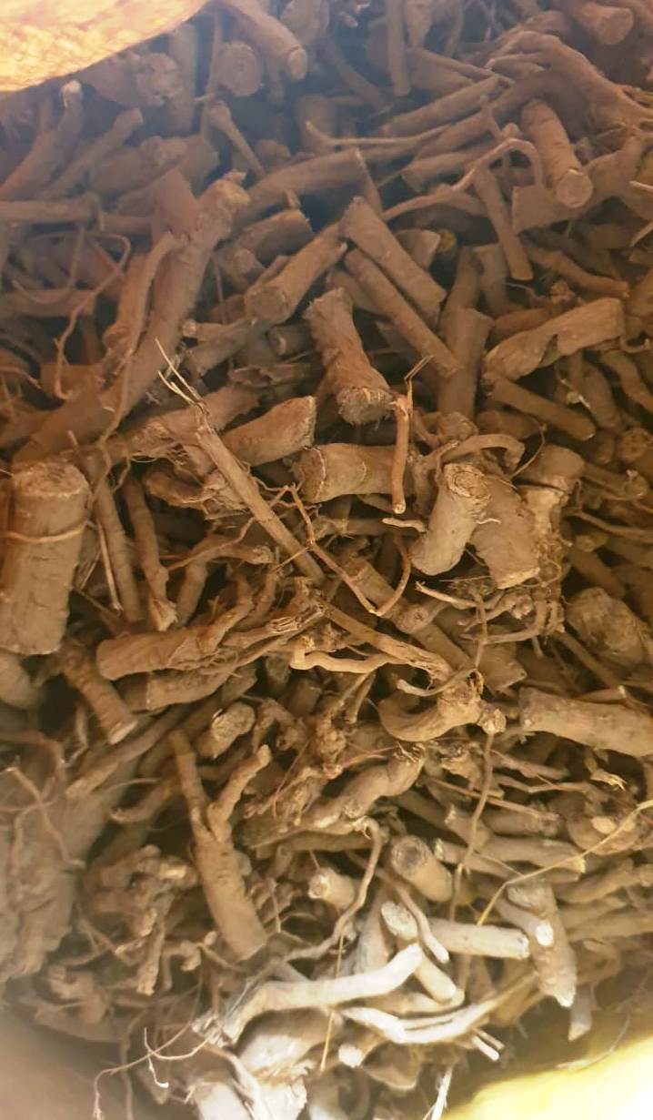 Mookarattai/மூக்கரட்டை/गदहपूरना/Punarnava Rs.260/Kg – VGS HERBALS