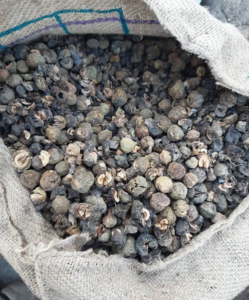 Nellikai With Seed/நெல்லிக்காய்/आँवला/Indian Gooseberry Rs.70/Kg – VGS ...