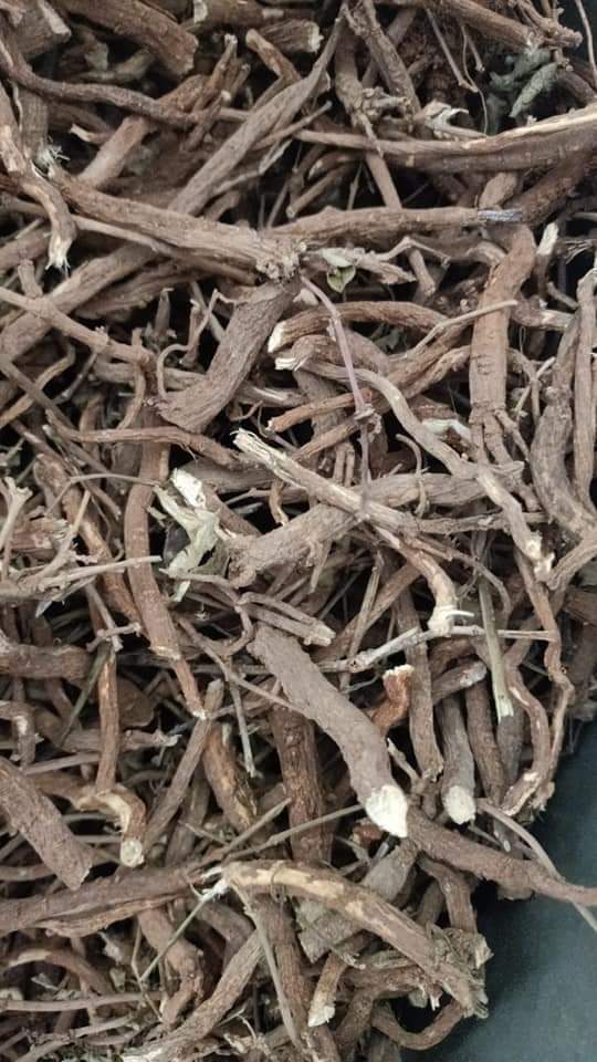 Saranai Veru/சாரணை வேர்/सालसाबुनि/Horse Purslane Root Rs.140/Kg – VGS ...