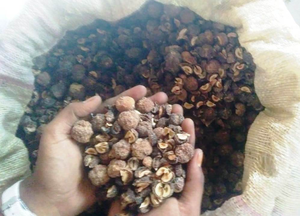 Nellikai With Seed/நெல்லிக்காய்/आँवला/Indian Gooseberry Rs.70/Kg – VGS ...